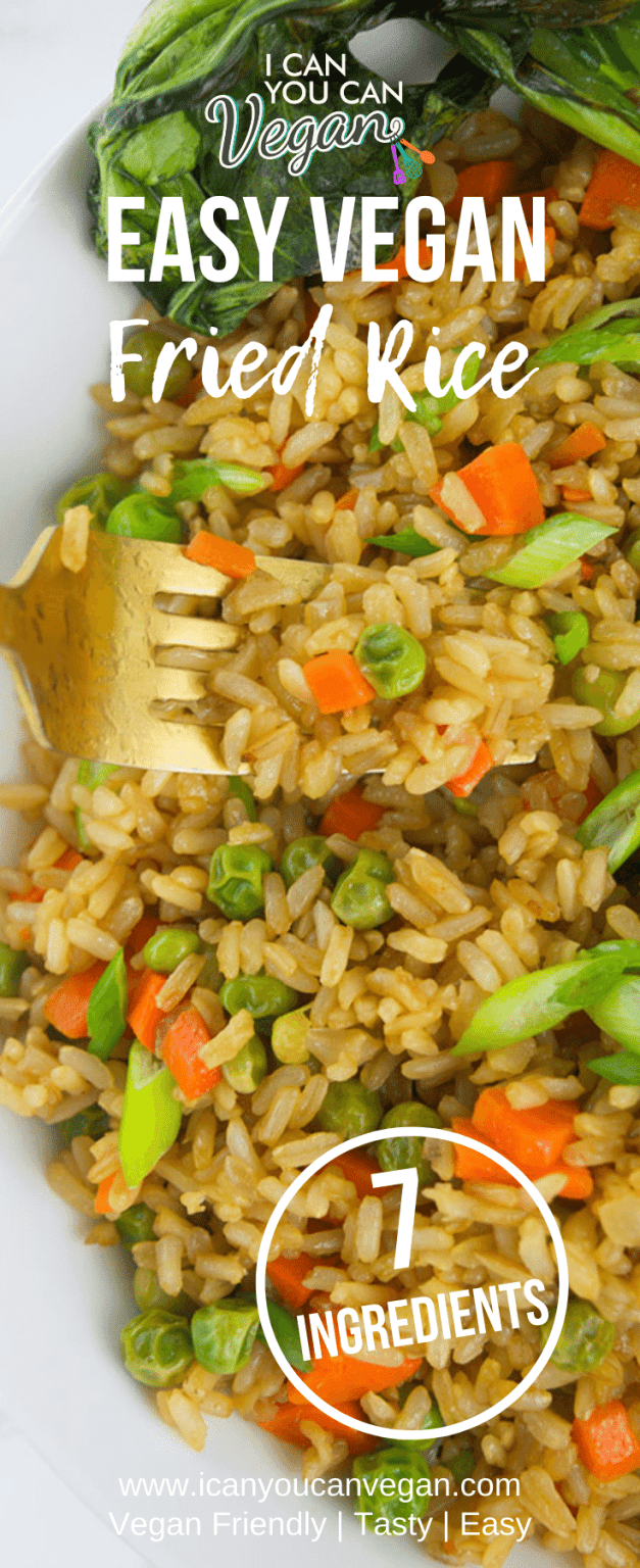 Easy Vegan Fried Rice | ICanYouCanVegan ICanYouCanVegan Easy Vegan ...